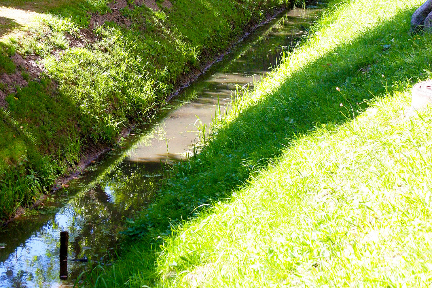 Grabenböschungen und Grabenkanten – Wasserverband Nettelnburg in Hamburg